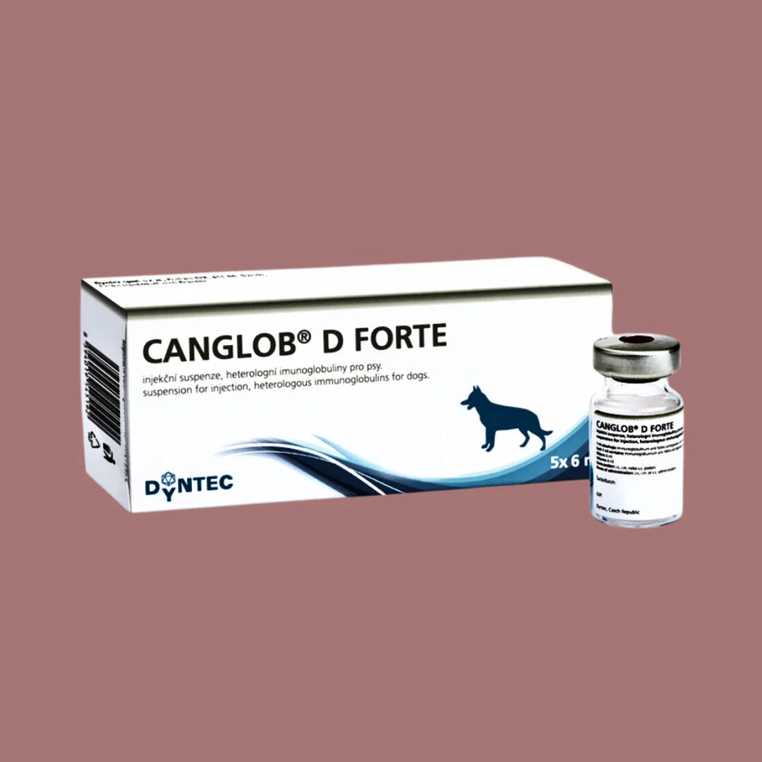 Injectable For Dogs – Surya Vets