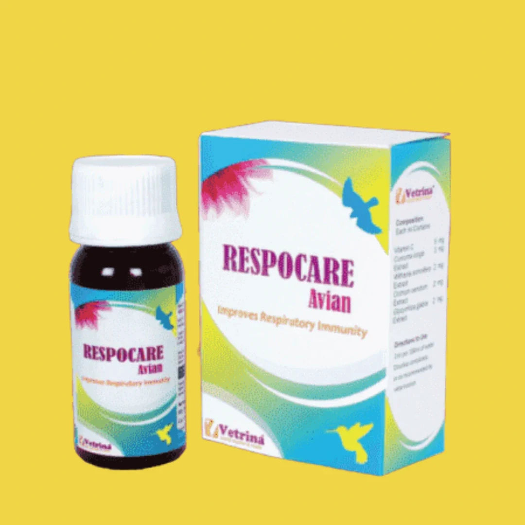 Respiratory Care For Birds – Surya Vets