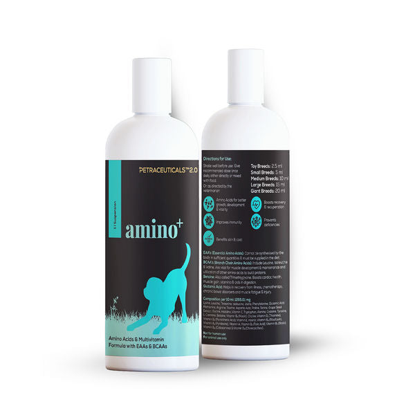 AMINO + SYRUP – Surya Vets